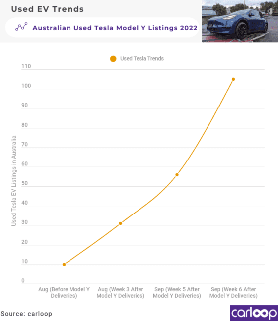 One in 10 Tesla Model Ys are being flipped on used car market