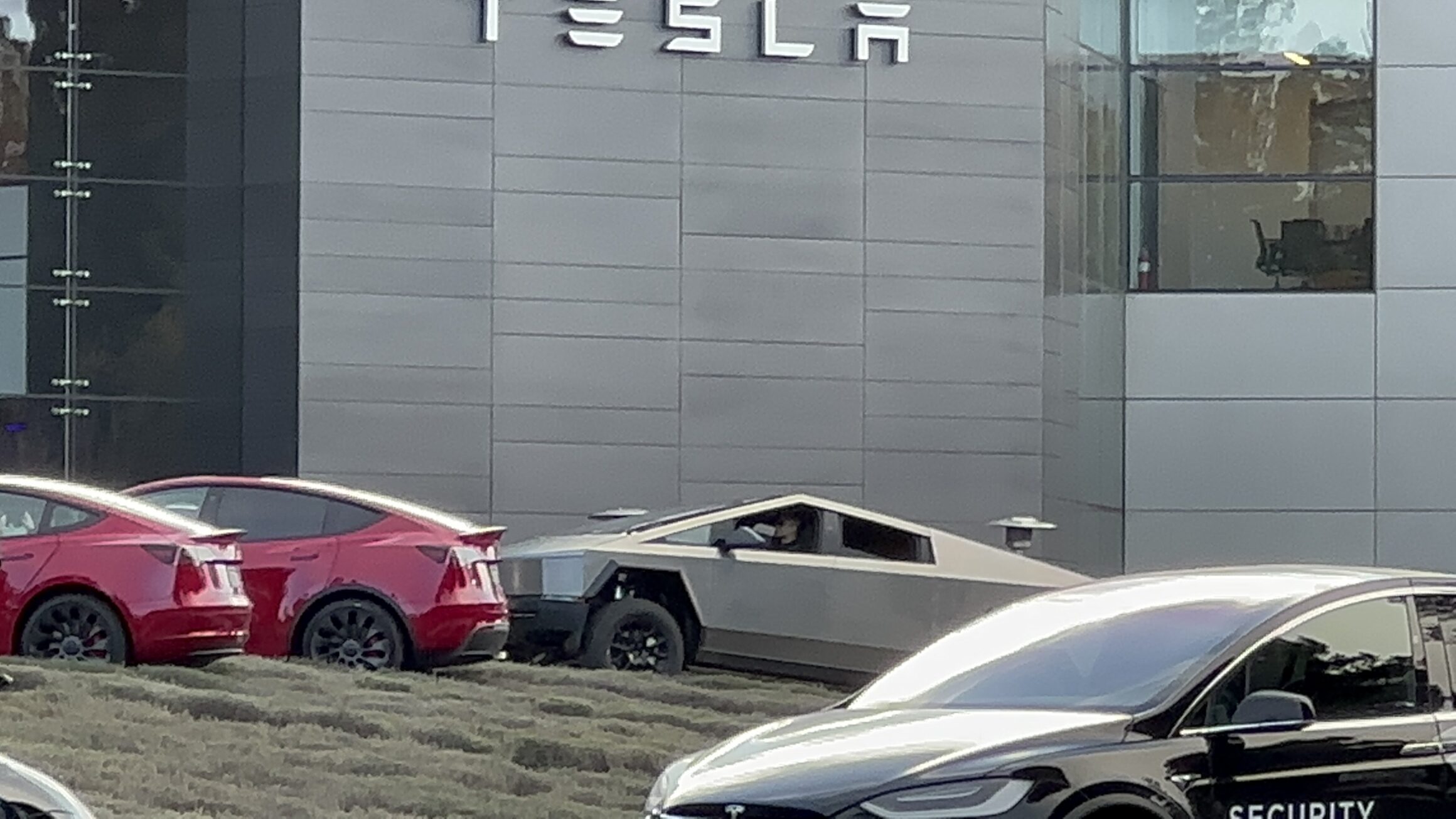 Up the grassy hill: High-riding Tesla Cybertruck seen "off-roading" at ...